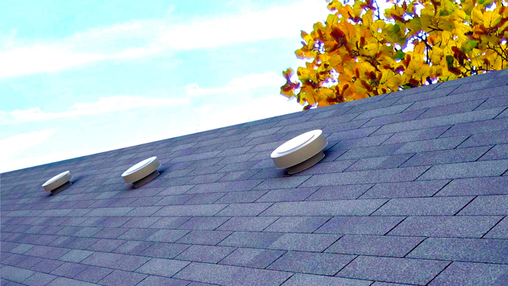 FanLanka.lk | No1 Ventilation Products and Solutions Provider Sri Lanka